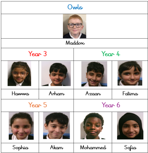 UNICEF-Rights-Respects | Ward End Primary School